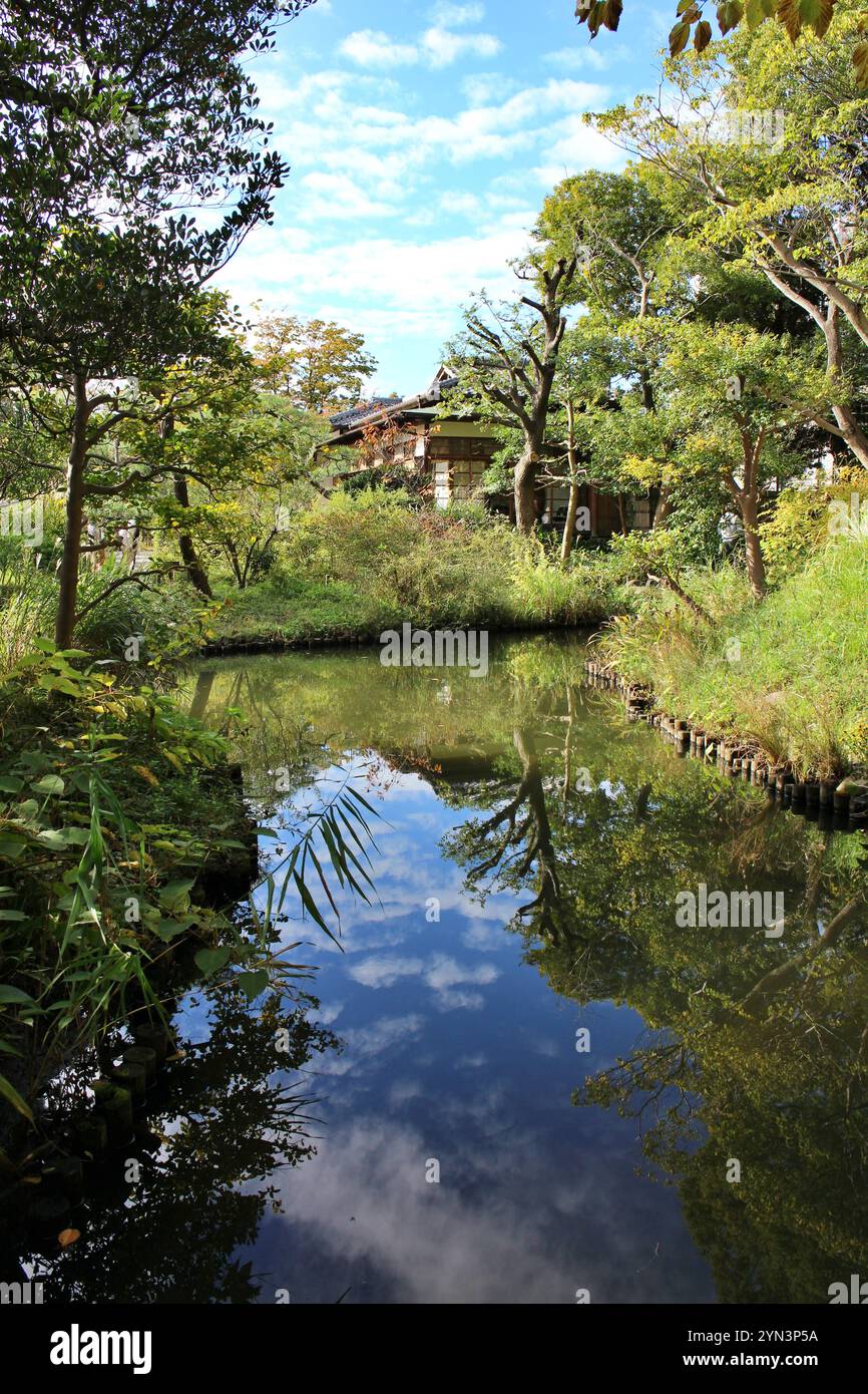 Pond in Mukojima-Hyakkaen Garden, Tokyo, Japan Stock Photo - Alamy