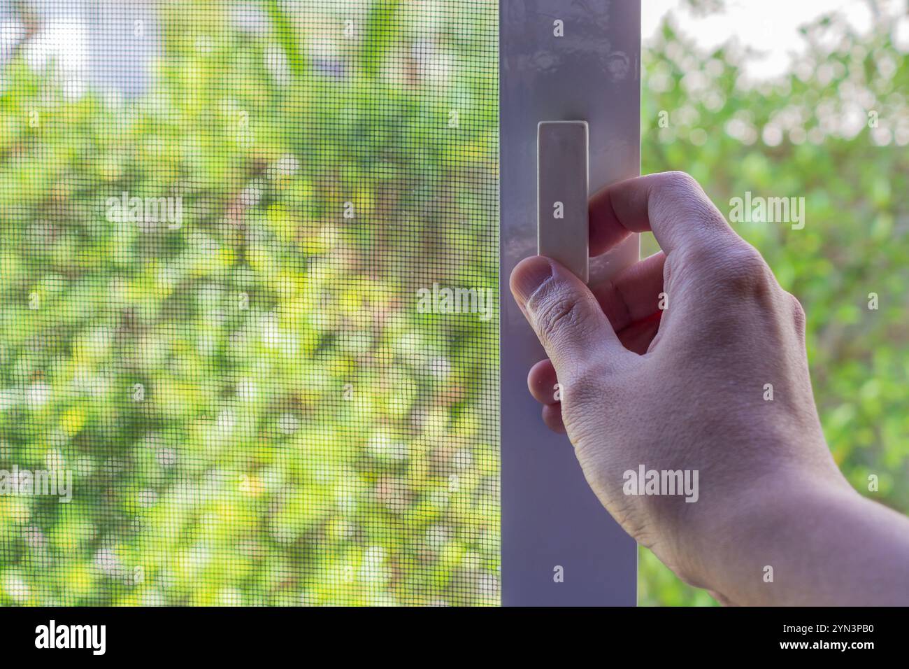 Hand hold mosquito net wire screen handle on house window Stock Photo ...