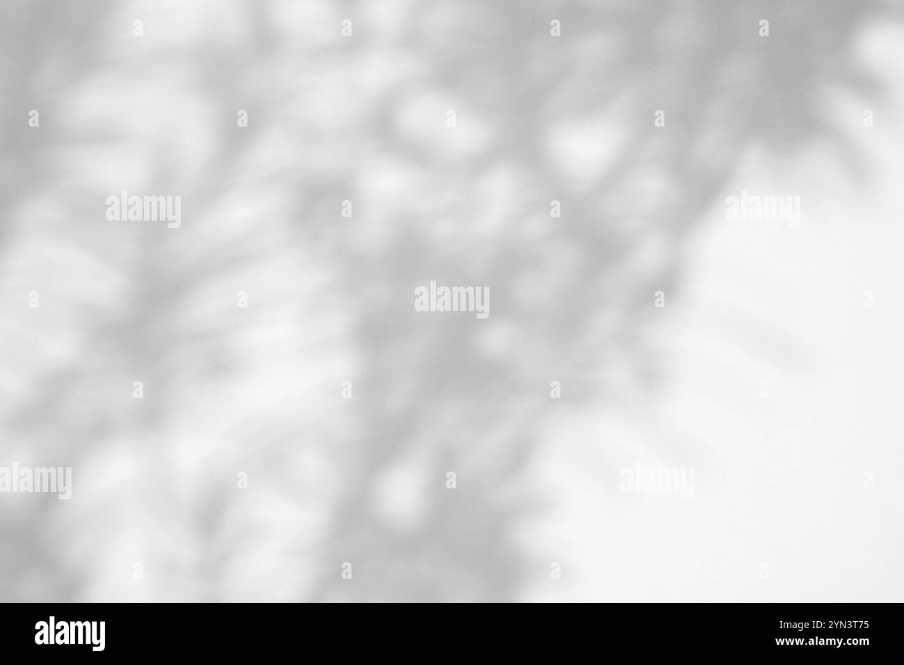 Abstract natural tree leaves shadow on white wall background Stock ...