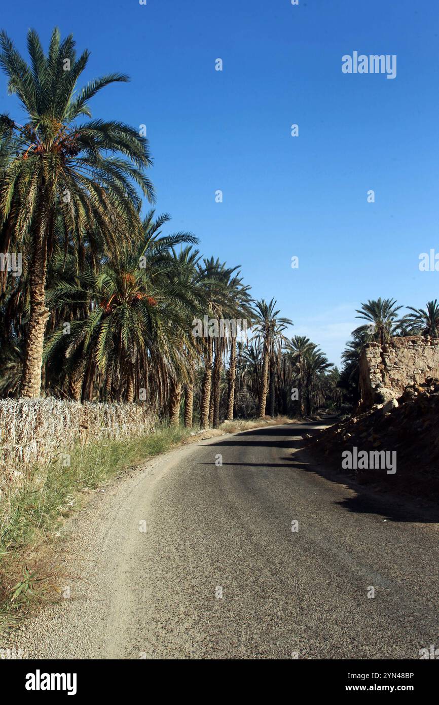 Souk the sou hi-res stock photography and images - Alamy
