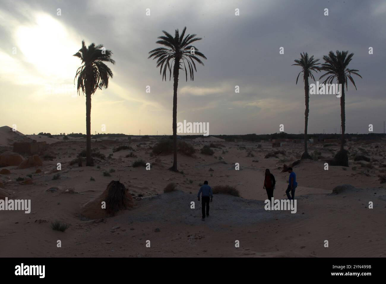The Debabcha Zone in Souk Al-Ahad in the governorate of Kebili ... The ...
