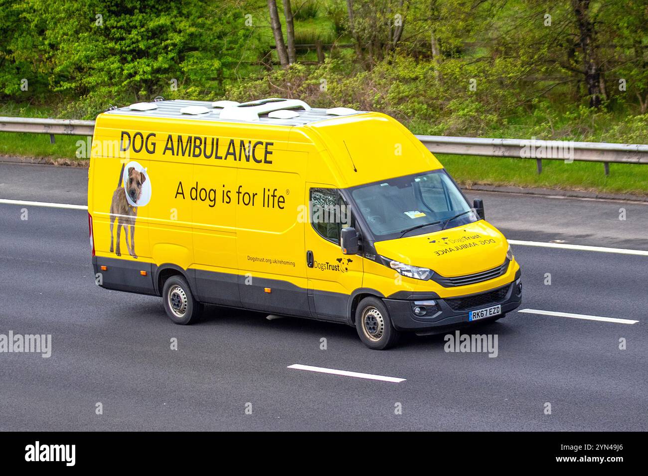 Dog Ambulance 'A dog is for Life' 2017 Iveco Daily 35S14V van ...