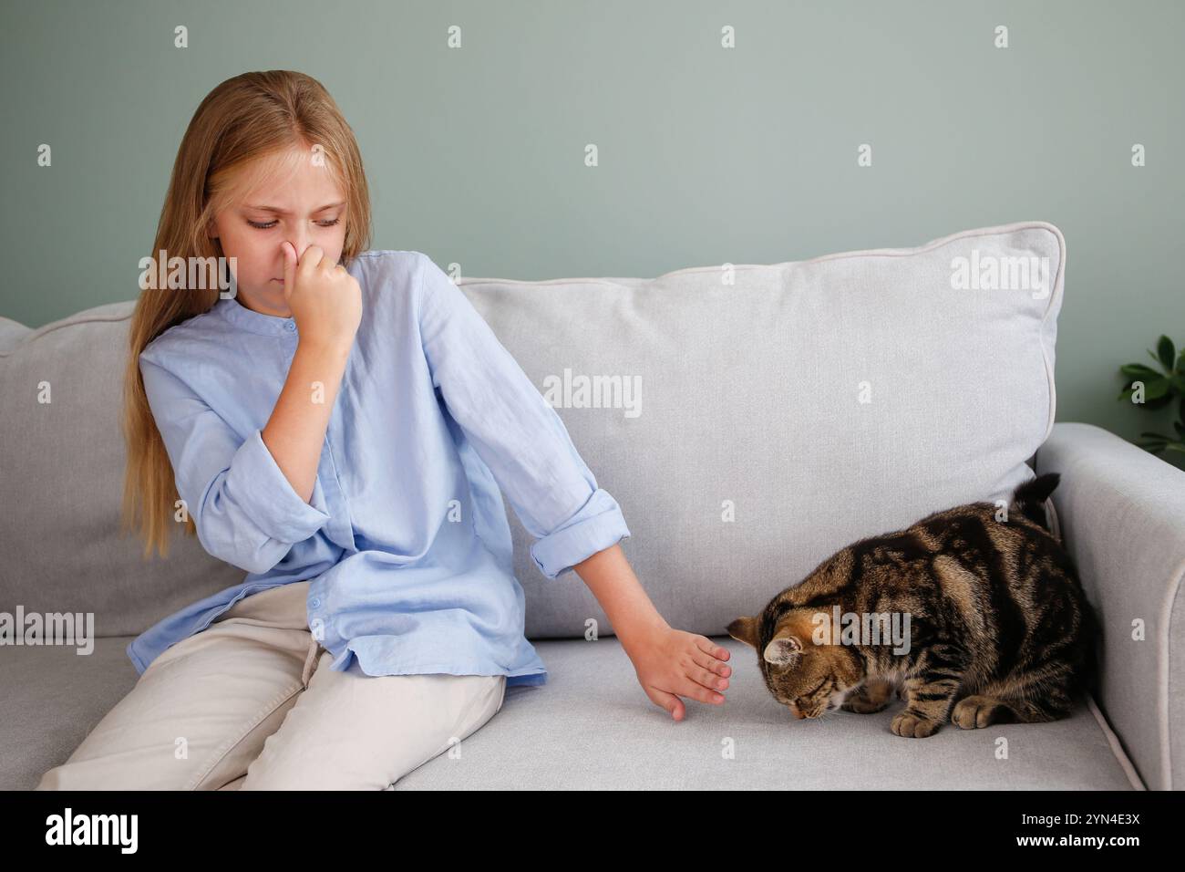 The house cat smells unpleasant. The child covered his nose with his ...
