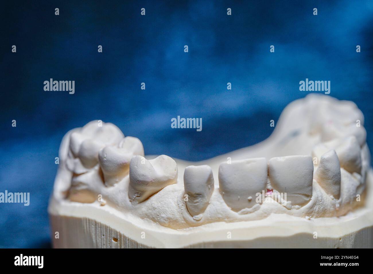 Professional impression hi-res stock photography and images - Alamy