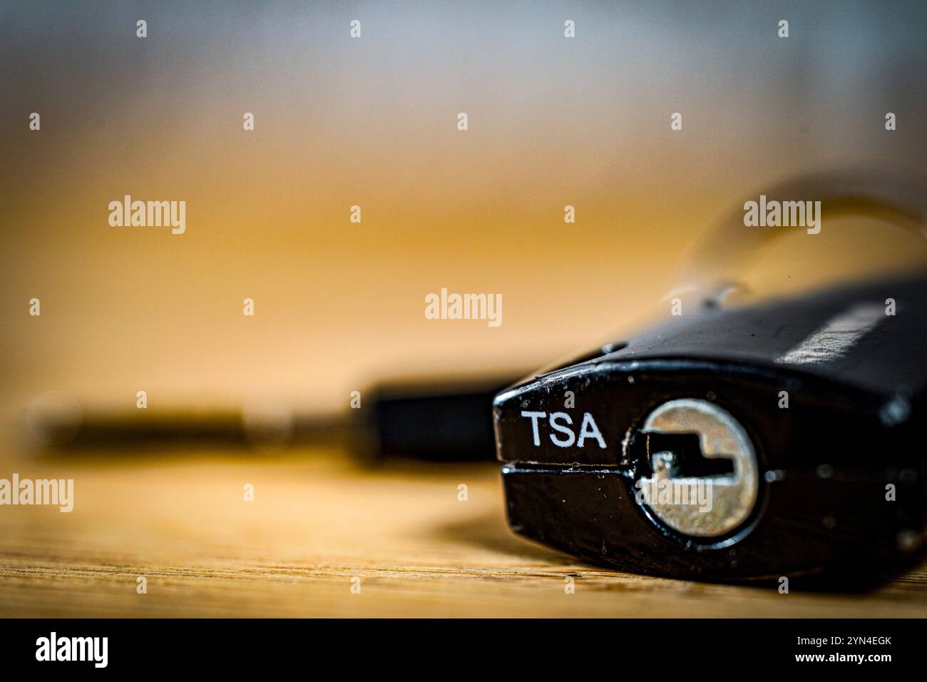 Tsa logo hi-res stock photography and images - Alamy