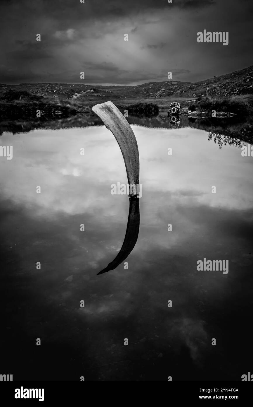 Blade during Black and White Stock Photos & Images - Alamy