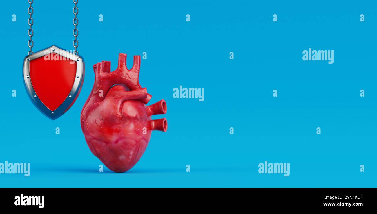 Human Heart Anatomy Internal Organ with Red Protection Shield Hanging ...