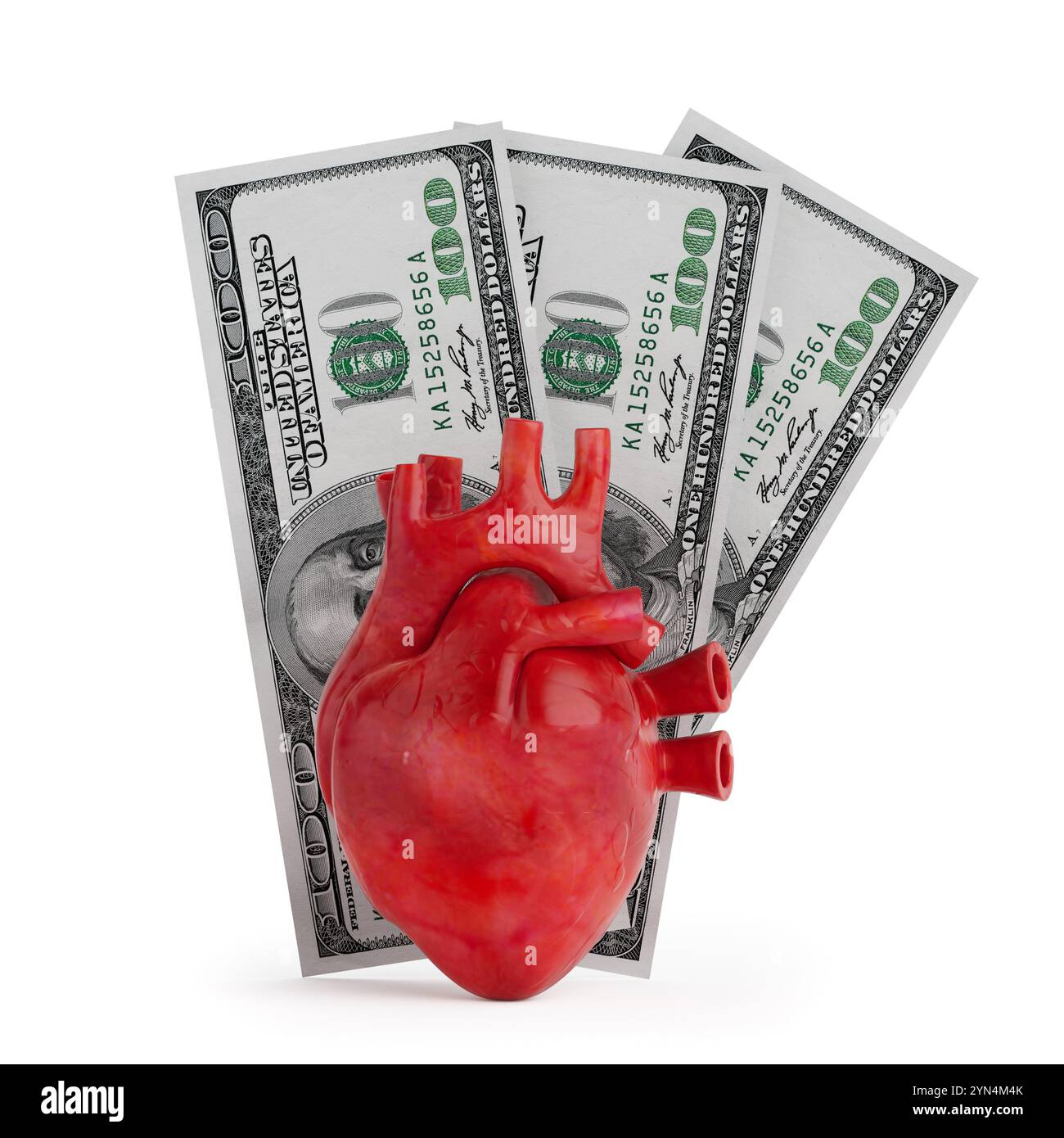 Human Heart Anatomy Internal Organ with Money Dollar Bills on a white ...