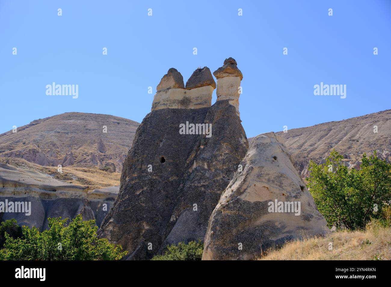 Fairy chimneys landscape at Monks Valley (Pasabag Vadisi) in Cappadocia ...