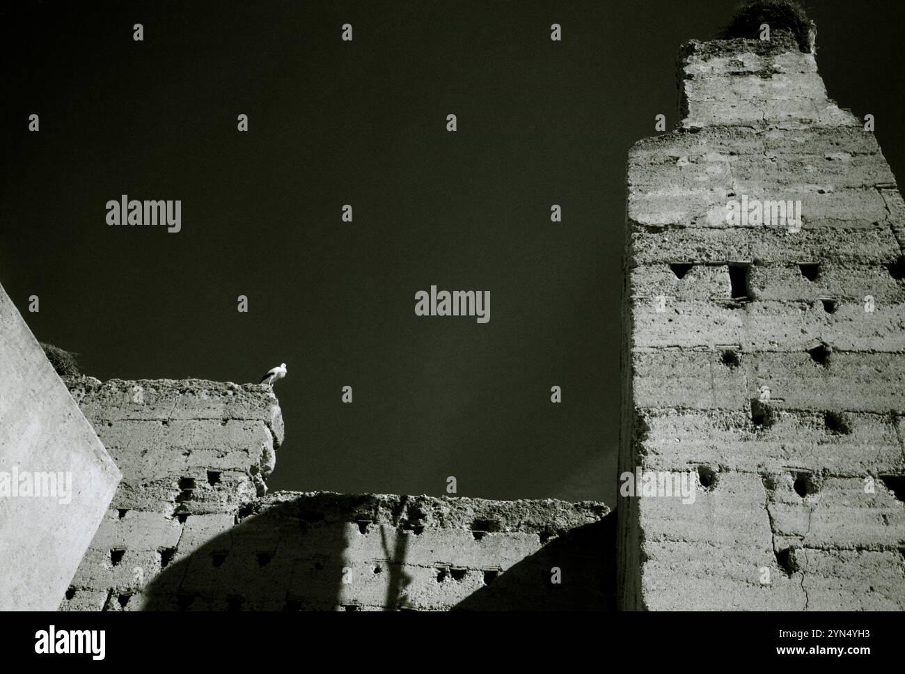 A stork bird high up against the sky on the ancient casbah souk walls ...