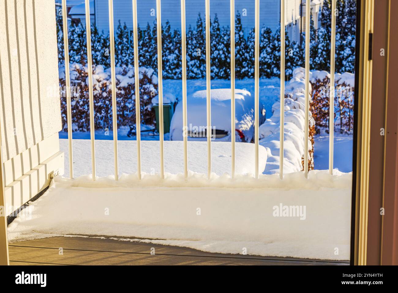 Snow-covered balcony railing overlooking snowy backyard with hedges and ...