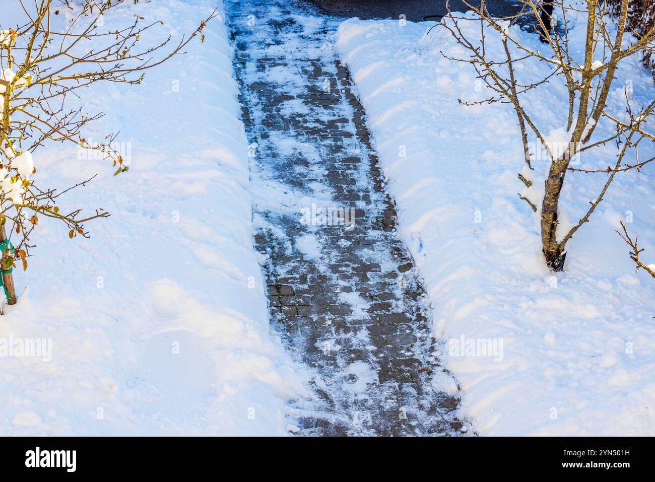 Top view of snow-covered pathway with cleared pavers visible ...