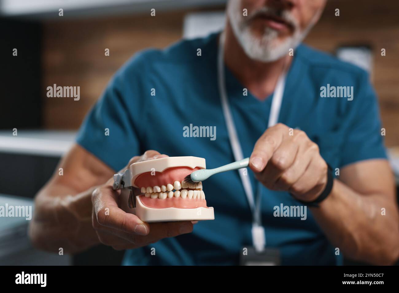 Demonstrating Proper Technique for Brushing Teeth Model Stock Photo - Alamy