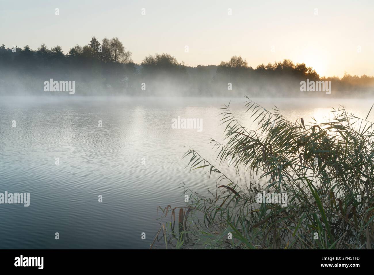 Sunrise over lake river forest hi-res stock photography and images - Alamy