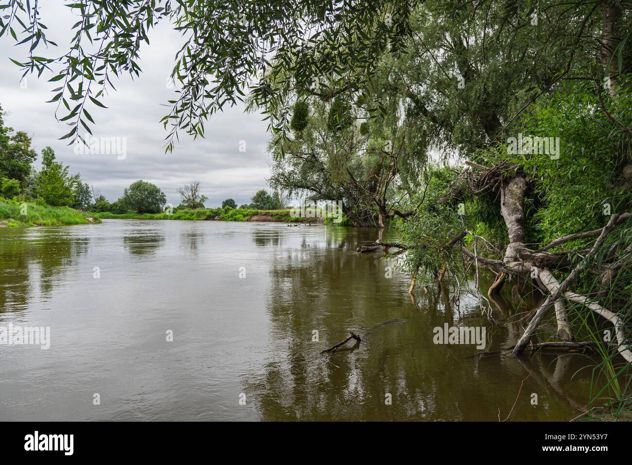 Natural landscape of a valley of river of bug on the border between ...