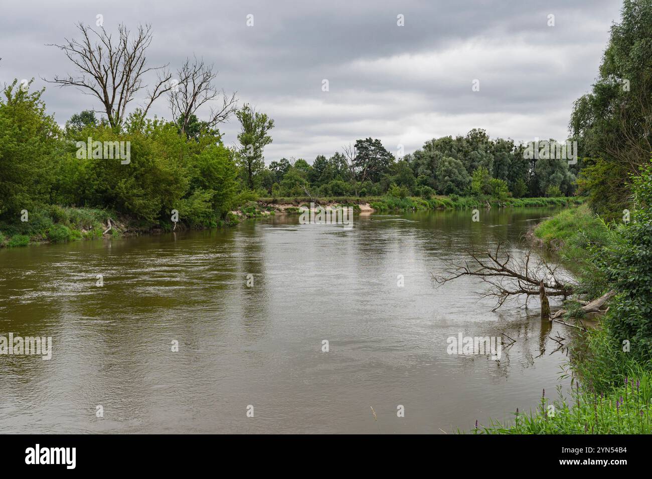 Natural landscape of a valley of river of bug on the border between ...