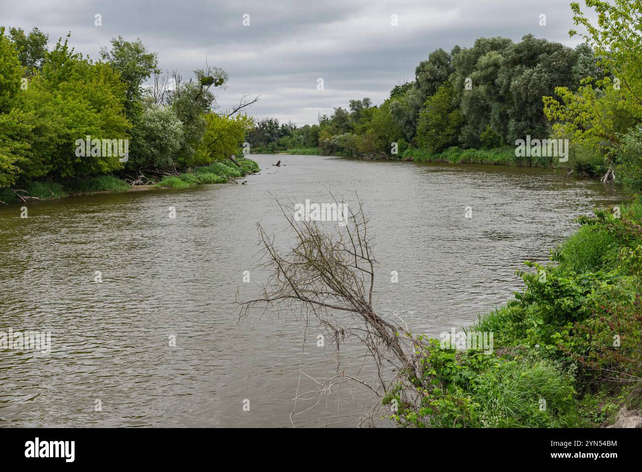 Natural landscape of a valley of river of bug on the border between ...