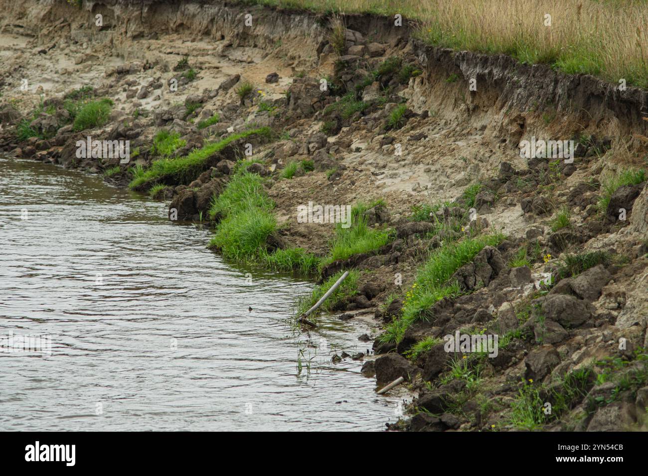 Erosion on the bank of a meandering river Bug Stock Photo - Alamy