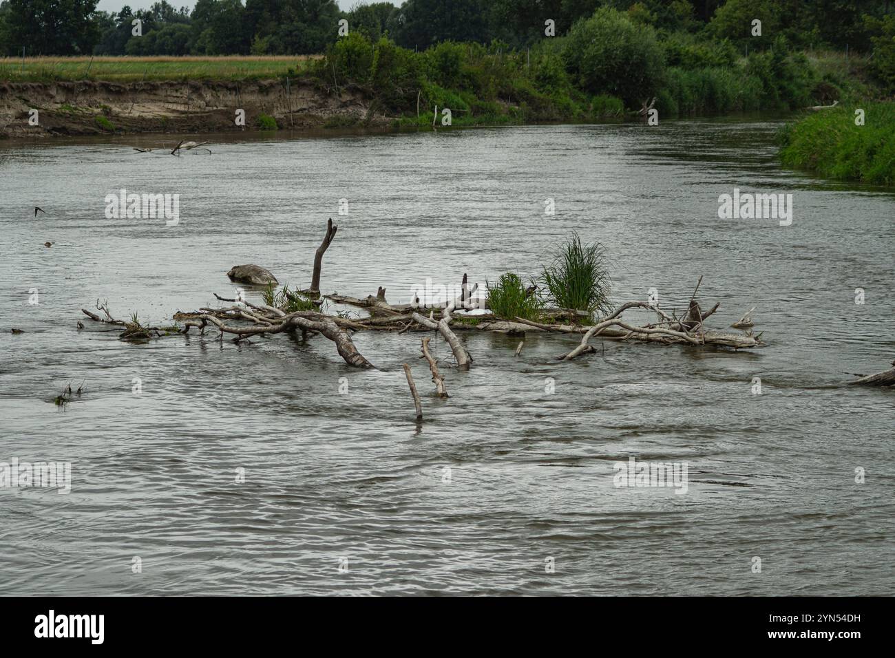 Natural landscape of a valley of river of bug on the border between ...