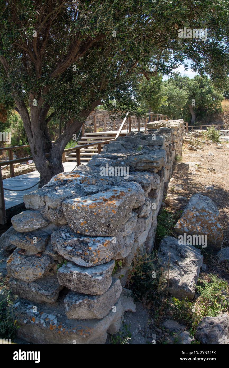 Ancient Stone Pathway Through Historic Troy Archaeological Site in ...