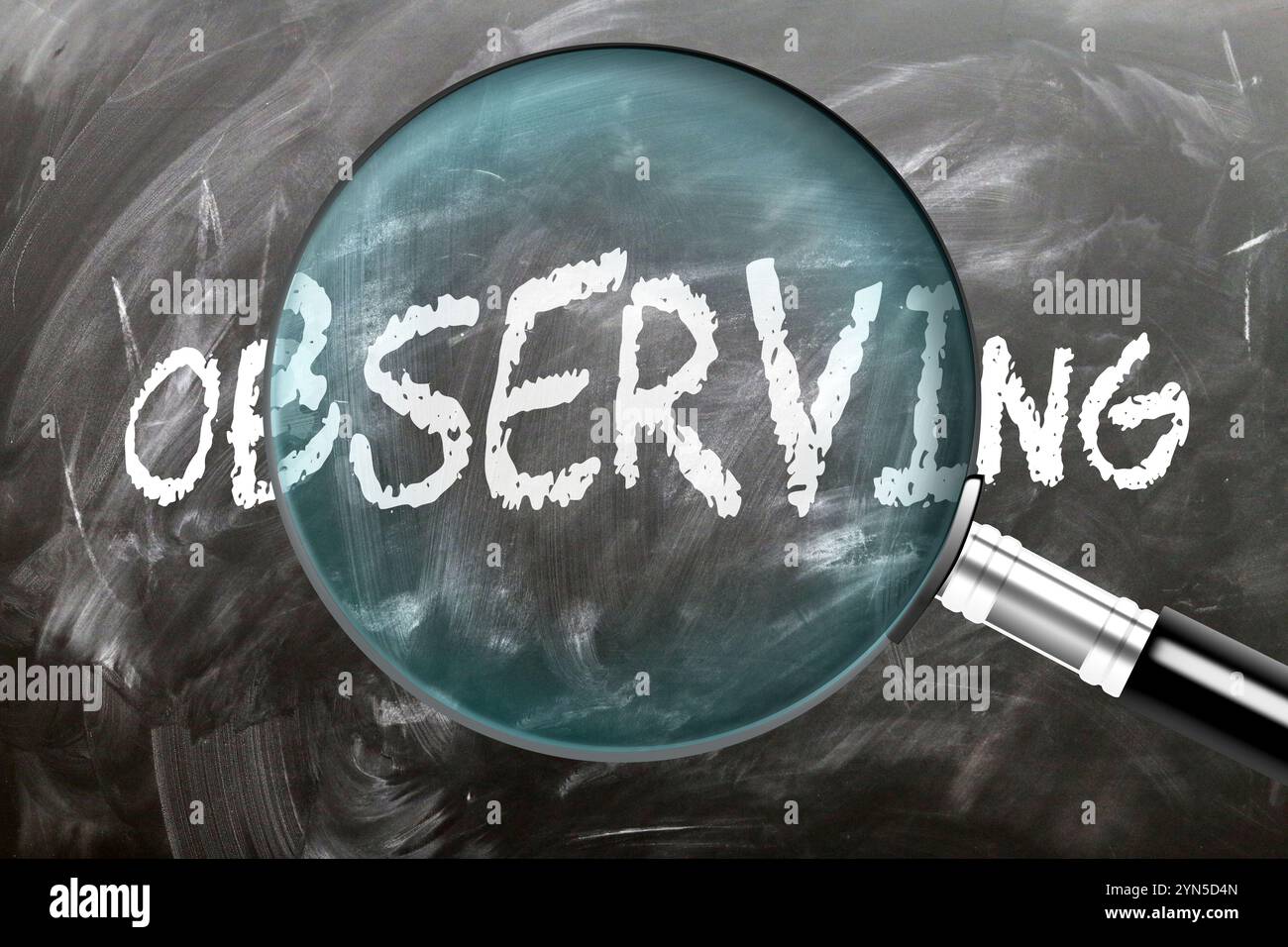 Observing - learn, study and inspect it. Taking a closer look at ...