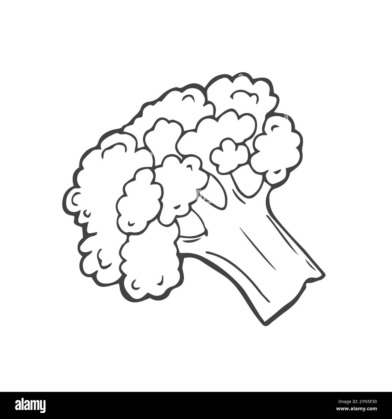 Artistic hand drawn illustration of broccoli, ink drawing Stock Vector ...