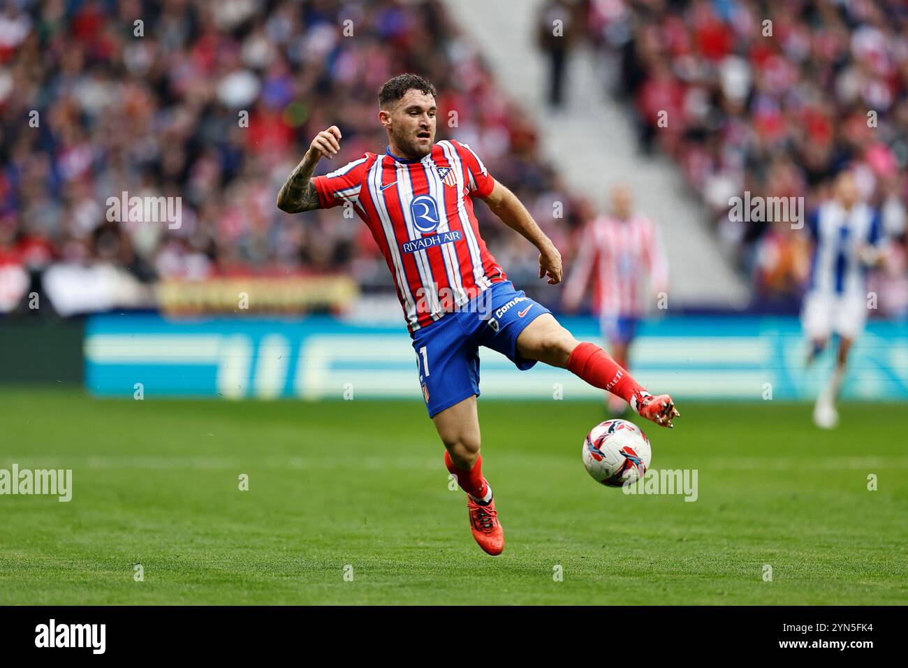Javi Galan (Atletico), NOVEMBER 23, 2024 - Football / Soccer : Spanish ...