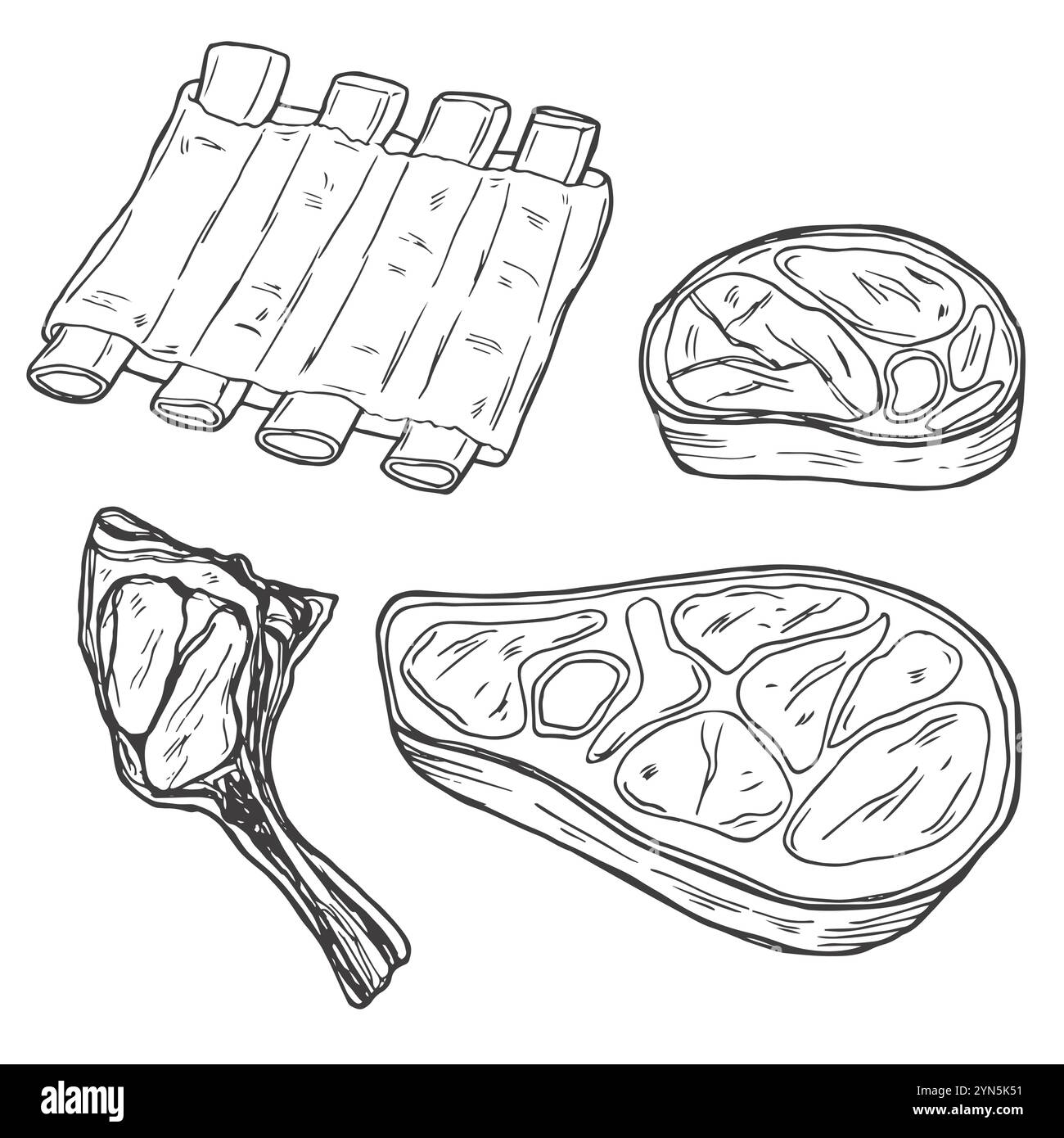 Fresh meat products collection, isolated on white background. Sketch ...