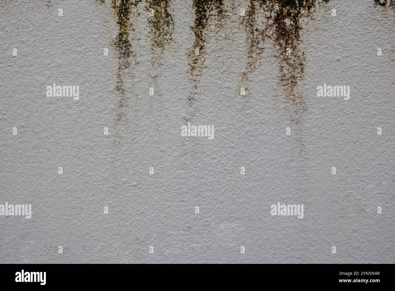 The wall displays extensive cracks and peeling paint, suggesting age and neglect in a weathered ...