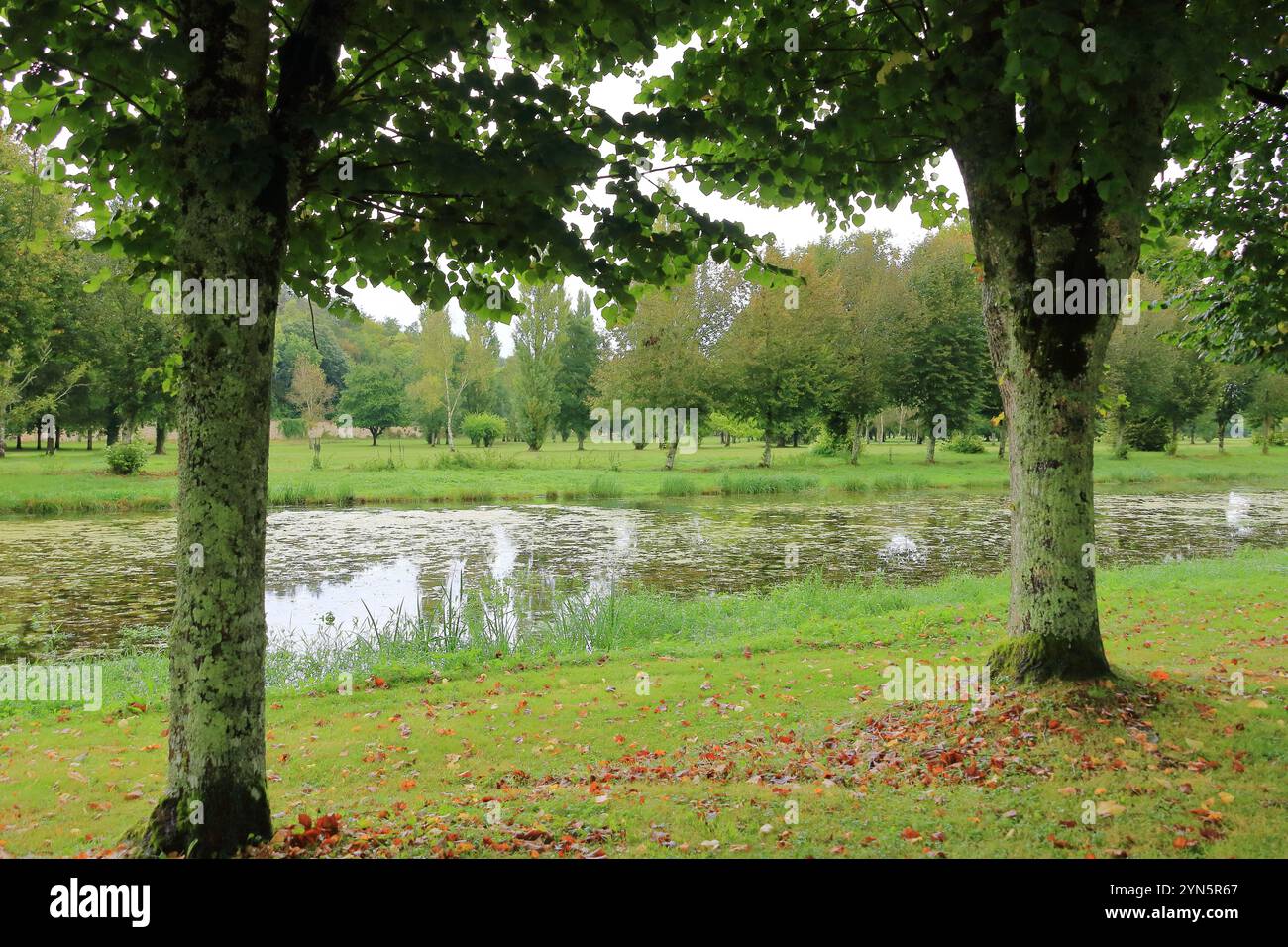 small water moat in france Stock Photo - Alamy