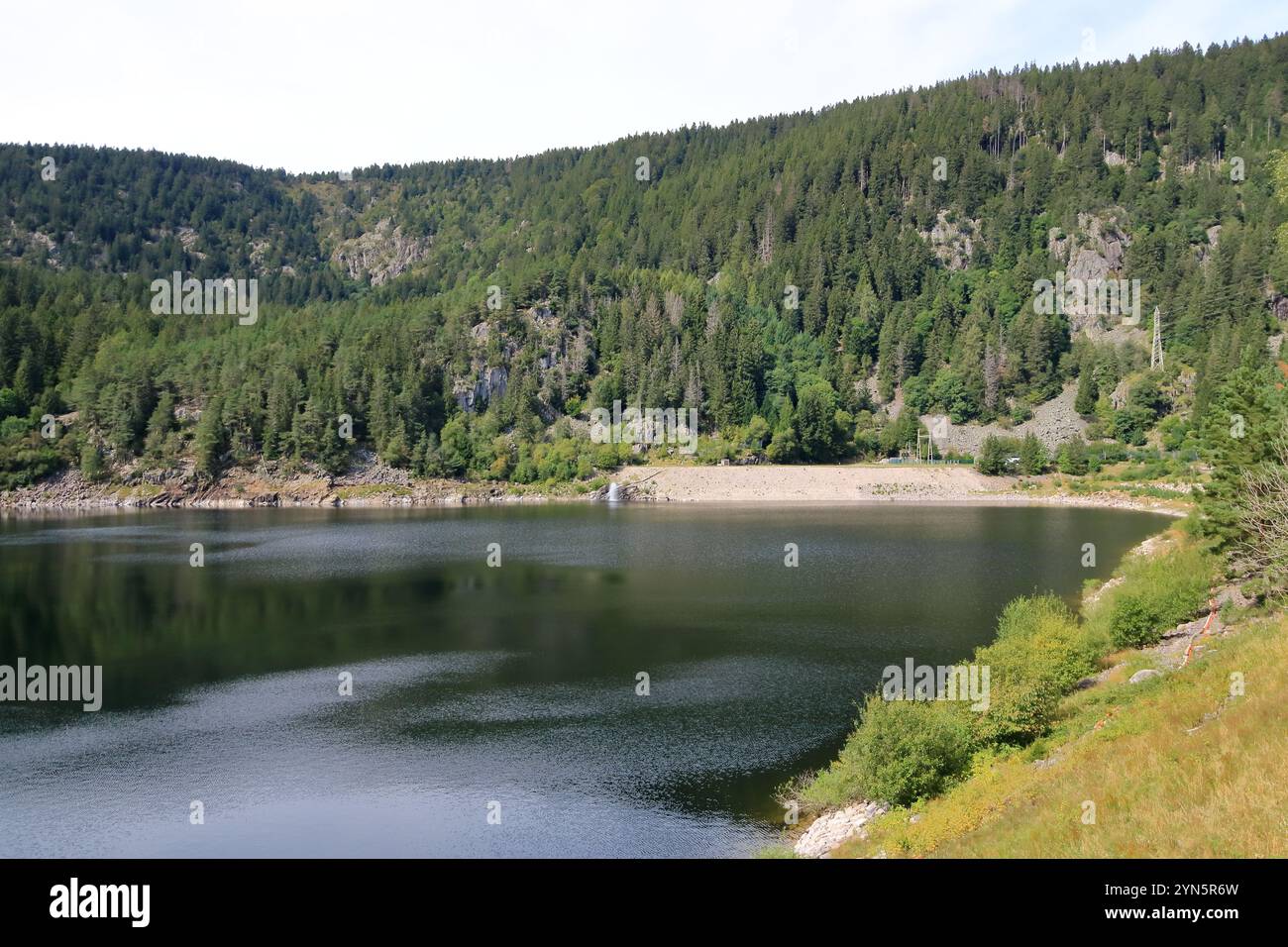 the black lake in the Vosges Lac Noir, Colmar in France Stock Photo - Alamy