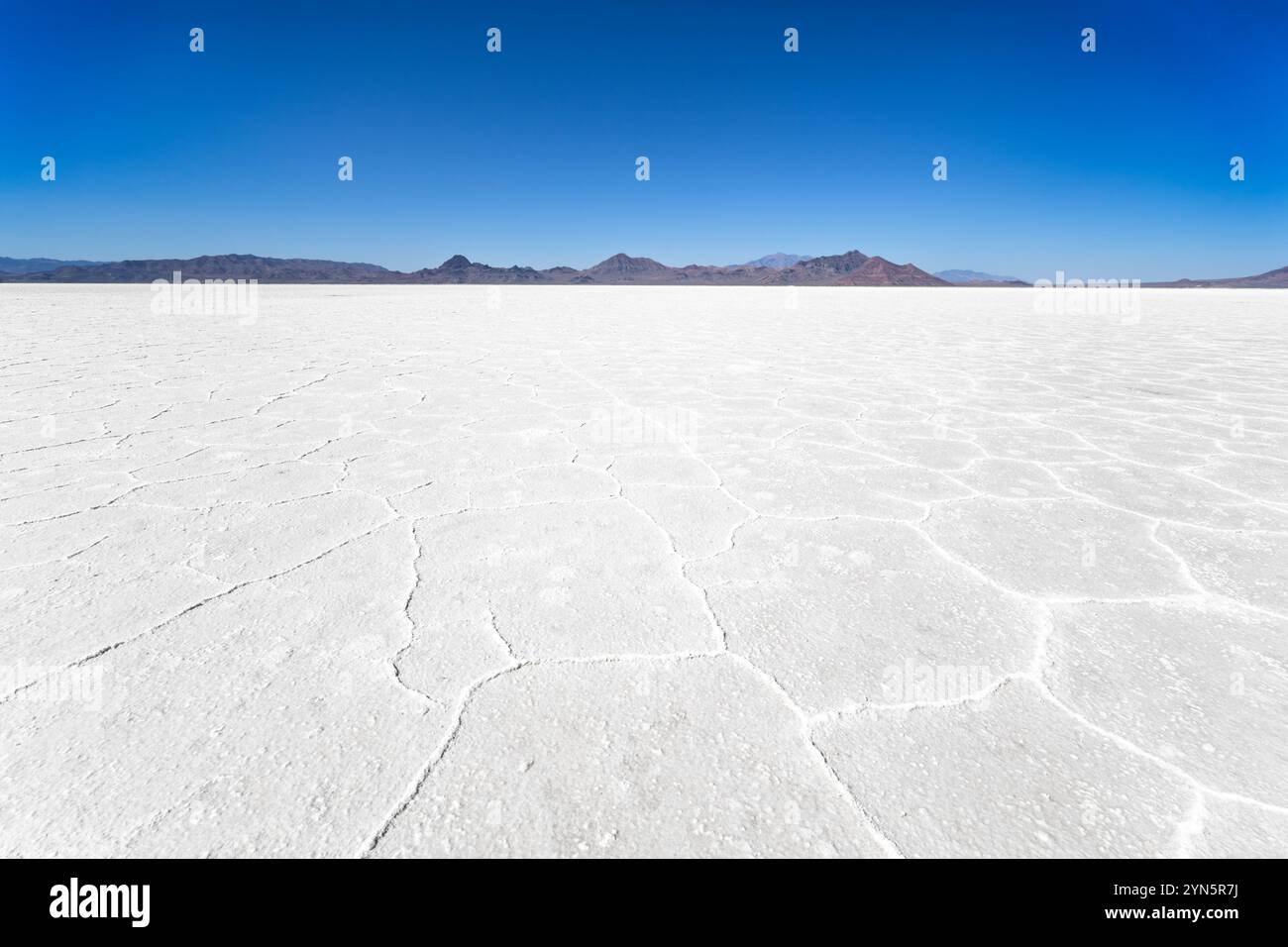 Bonneville Salt Flats in Utah Stock Photo - Alamy