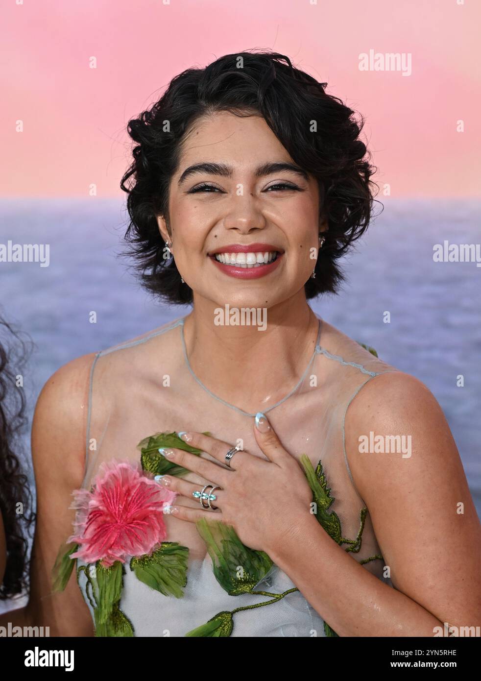 Moana 2 hi-res stock photography and images - Alamy