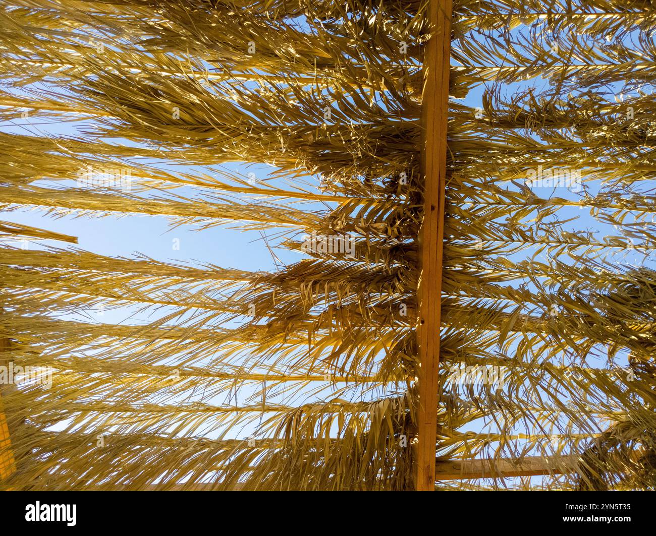 Straw roof, The straw roof moved from the wind, against blue Sky ...