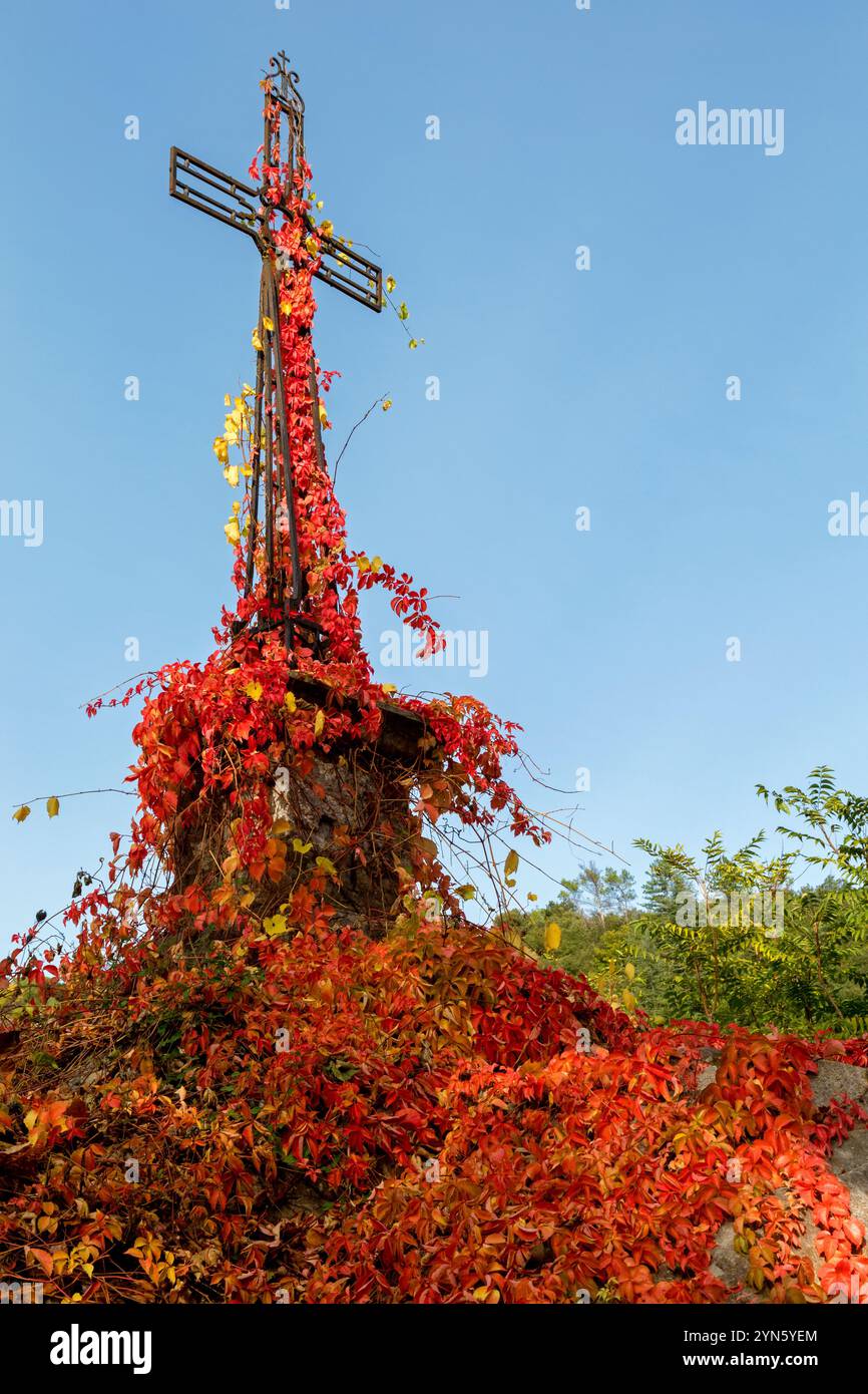 Creeper cult hi-res stock photography and images - Alamy