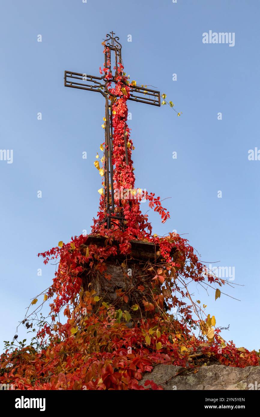 Creeper cult hi-res stock photography and images - Alamy