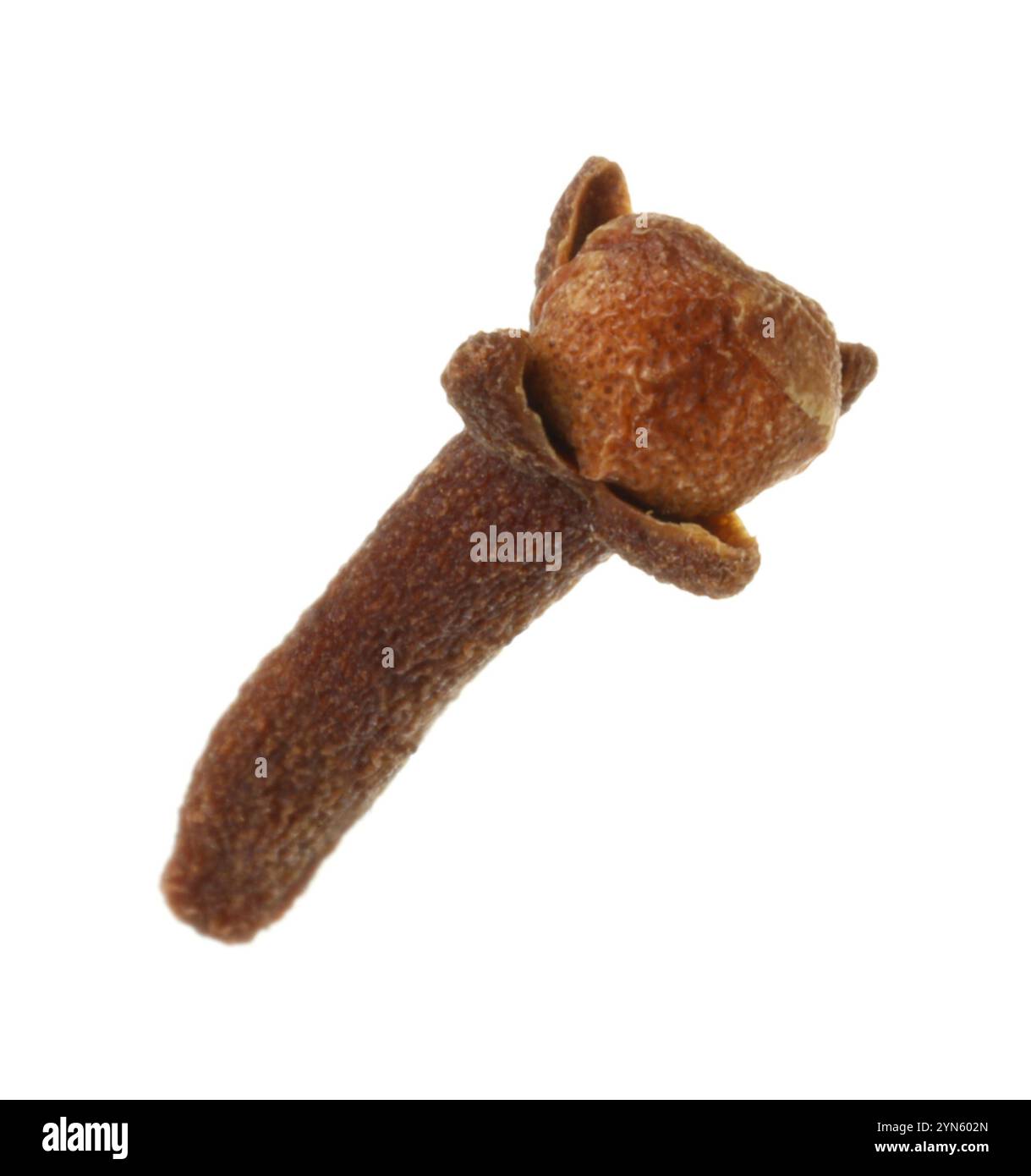 One dry clove bud isolated on white. Aromatic spice Stock Photo - Alamy