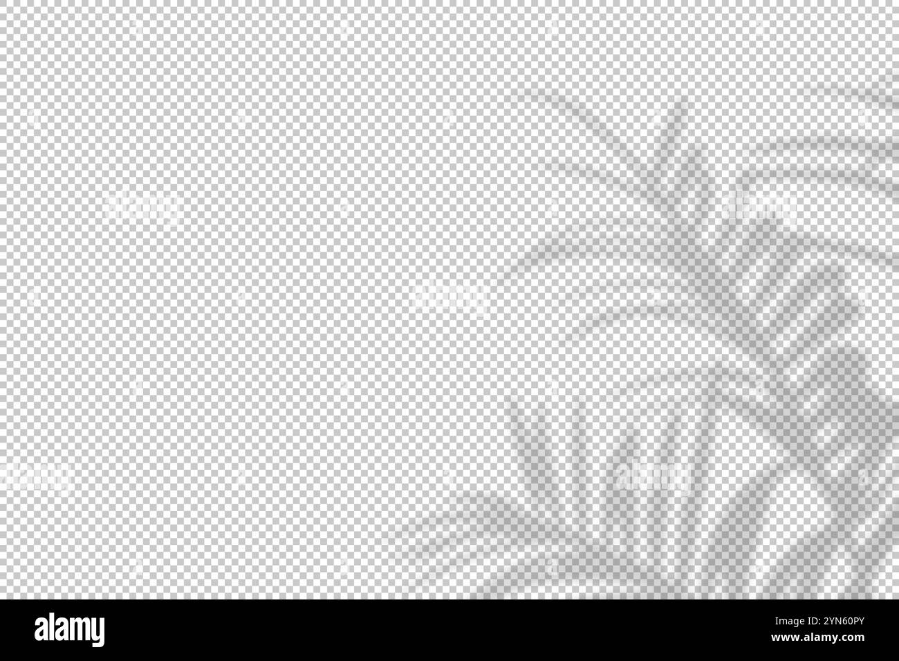 Shadow of leaf from window. Shadows palm leave isolated on transparent ...