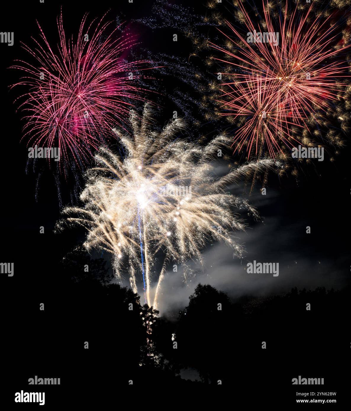 Firework display on the night sky at a festival Stock Photo - Alamy