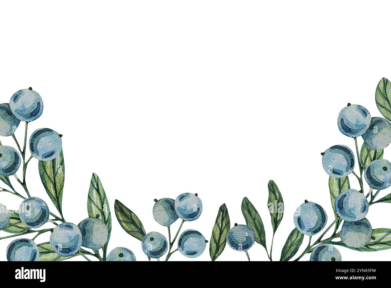 Botanical drawing blueberry hi-res stock photography and images - Alamy