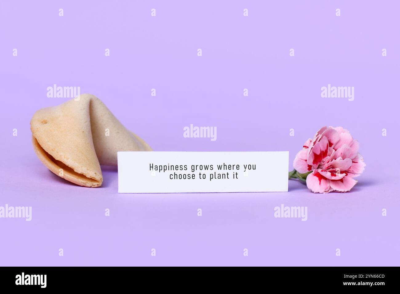Fortune cookie with motivational text on paper saying 'Happiness grows ...