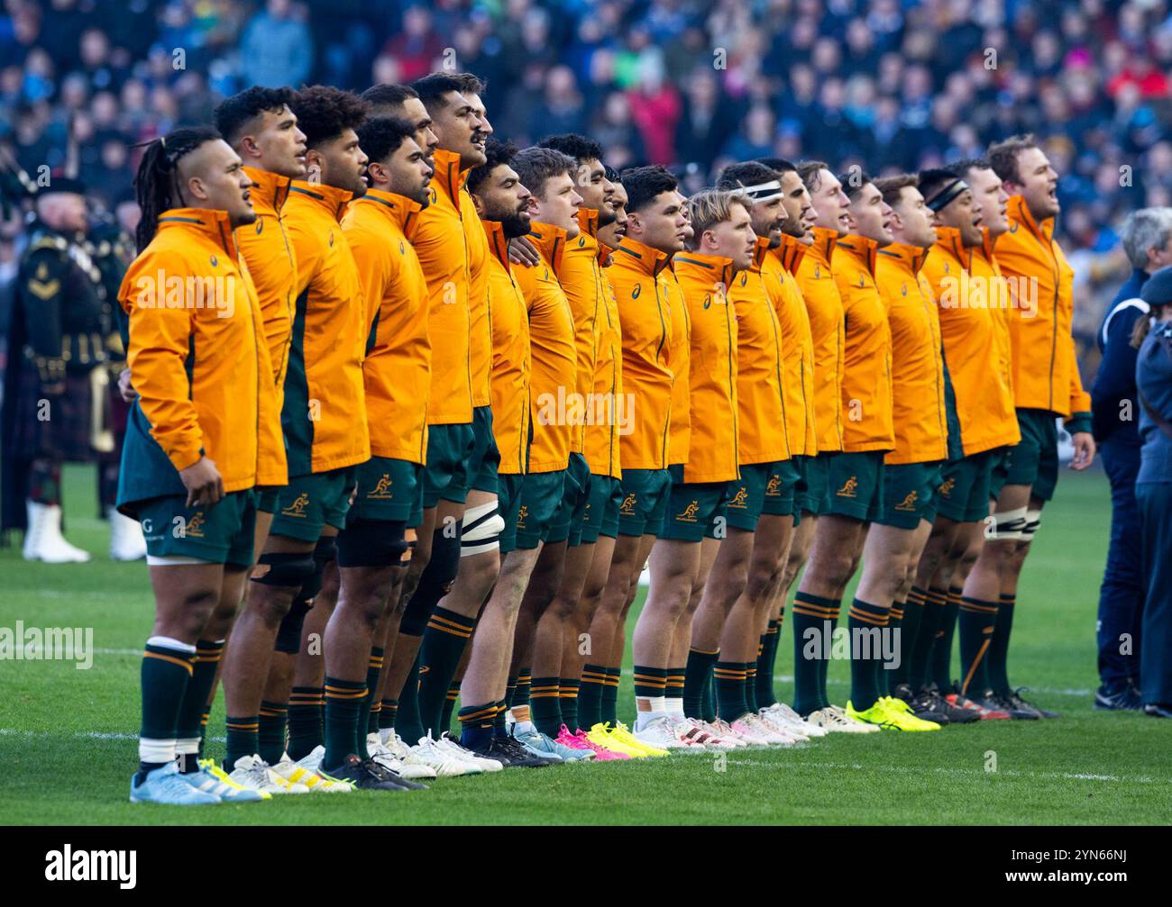 Autumn Series: Scotland v, Australia. 24th Nov, 2024. The teams line up ...