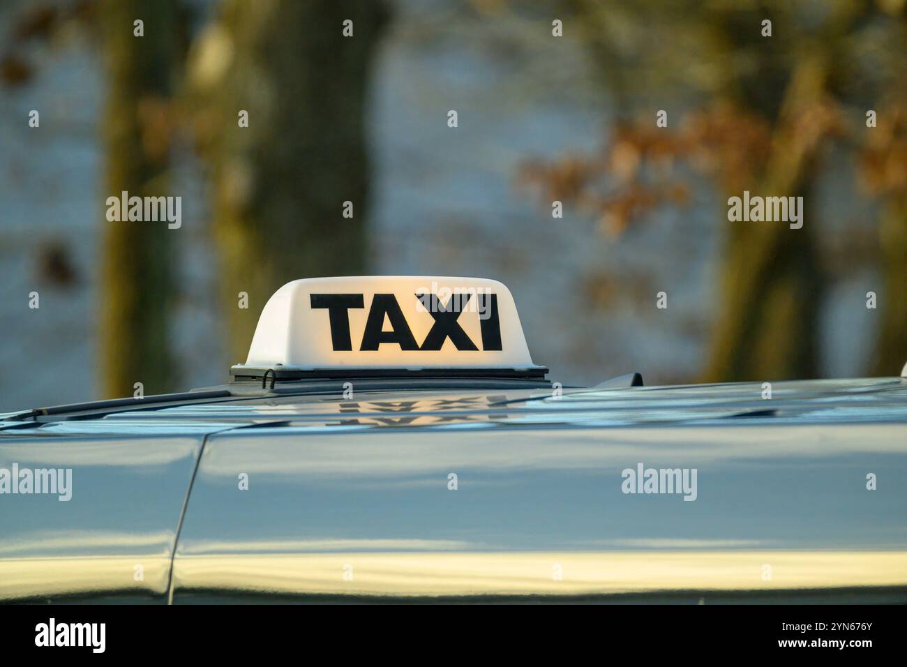 Displaying prominent features hi-res stock photography and images - Alamy