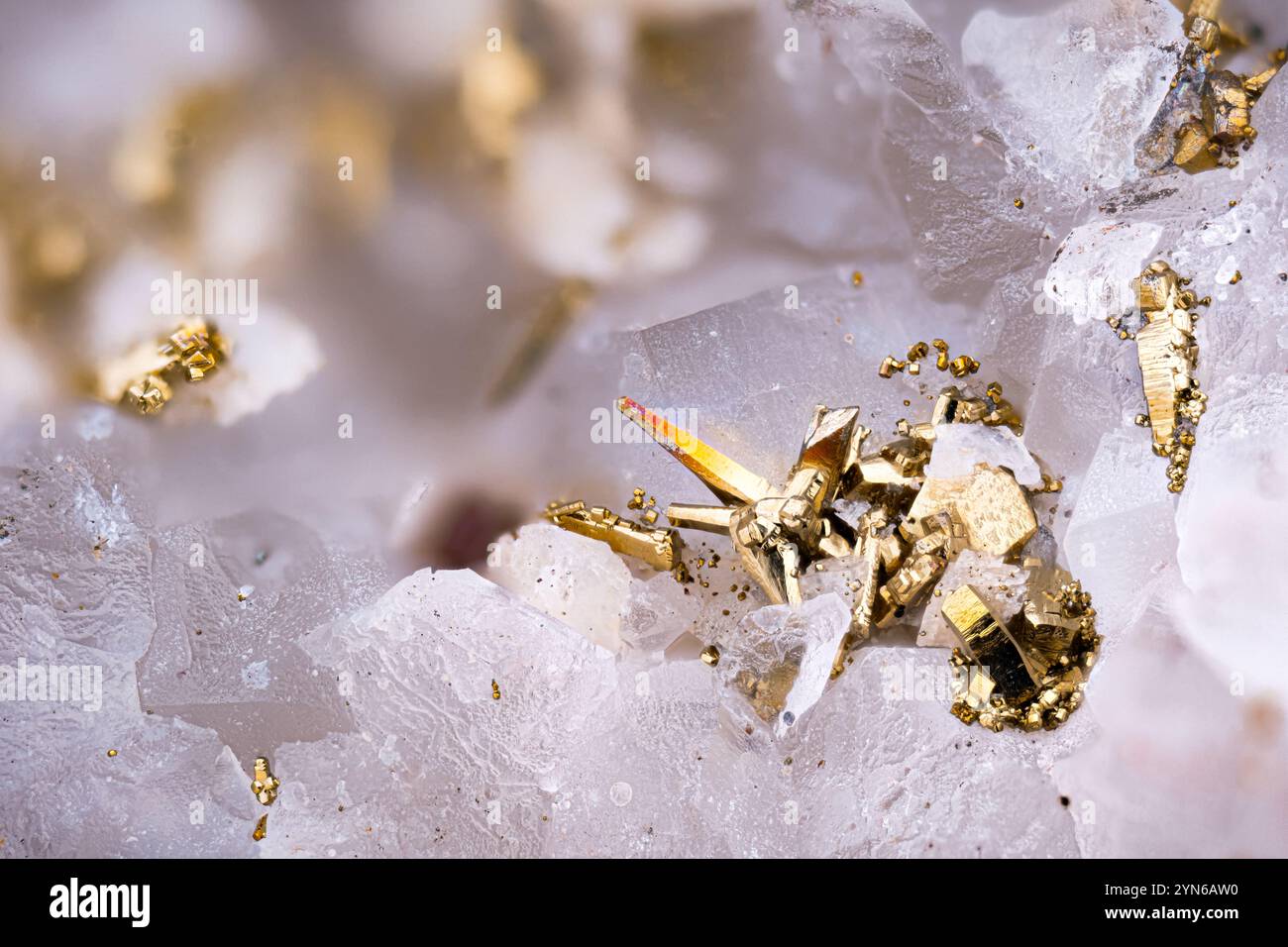 Golden pyrite on quartz. Specimen from st-marguerite-lafigère, France ...