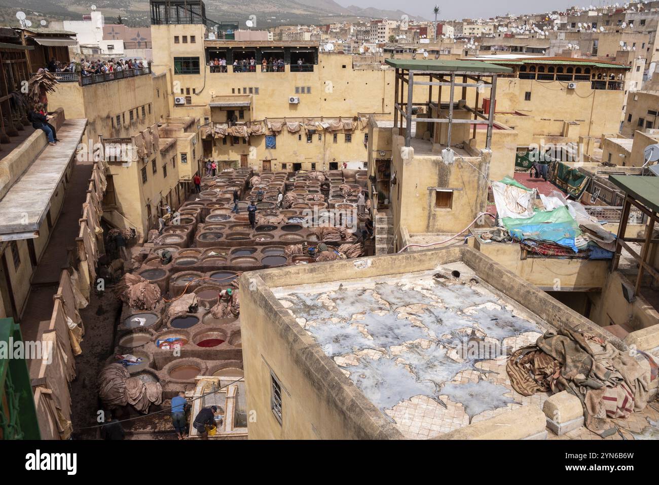 Famous tannery in the medina of Fes, where leather is being processed ...