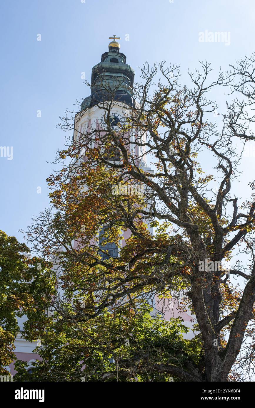 Beautiful tower building behind hi-res stock photography and images - Alamy