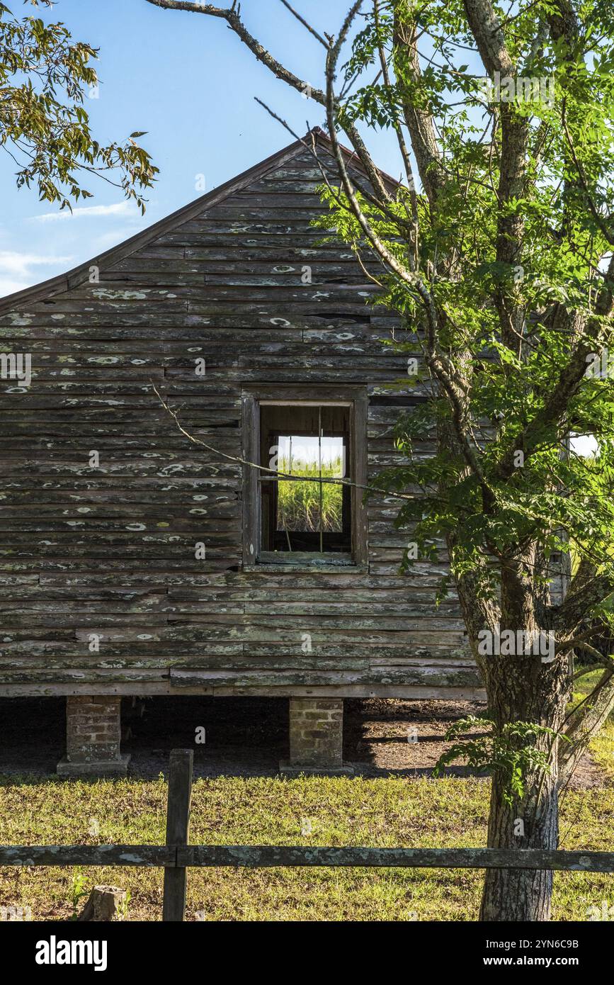 Laura plantation hi-res stock photography and images - Alamy