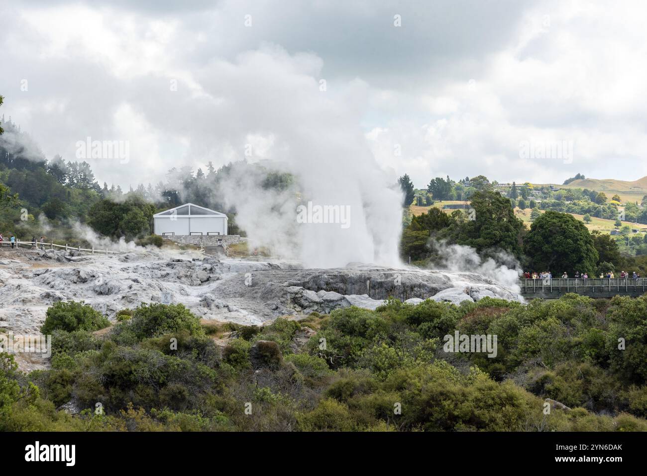 Geothermal field with Geyser at Whakarewarewa village, North Island of ...