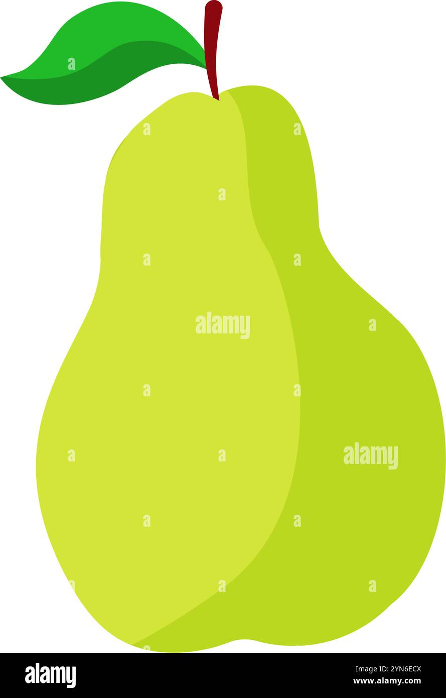 fresh pear - vector illustration Stock Vector Image & Art - Alamy
