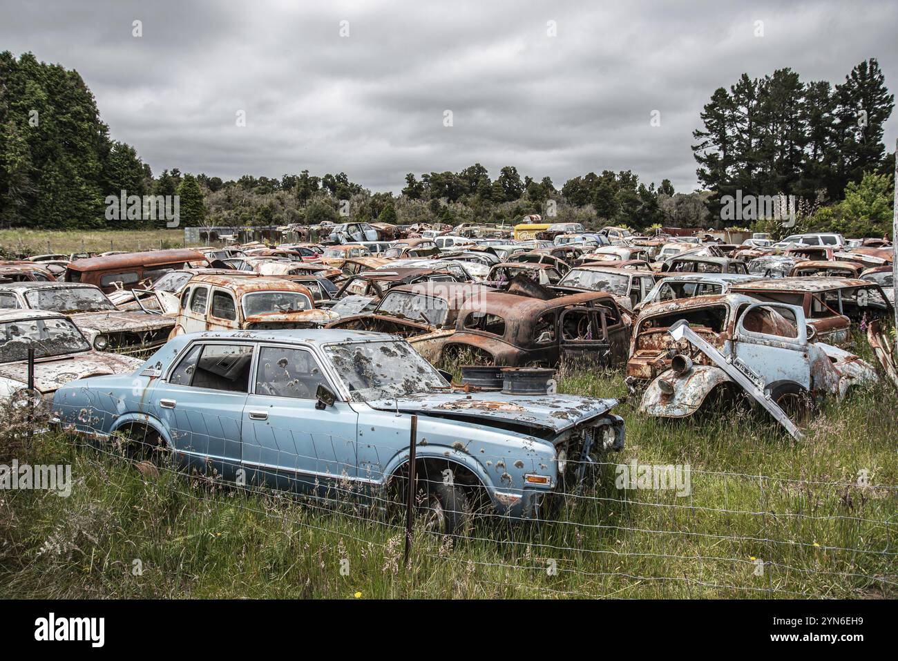 Antique cars on a big scrapyard at the end of Old Coach Road Trail ...